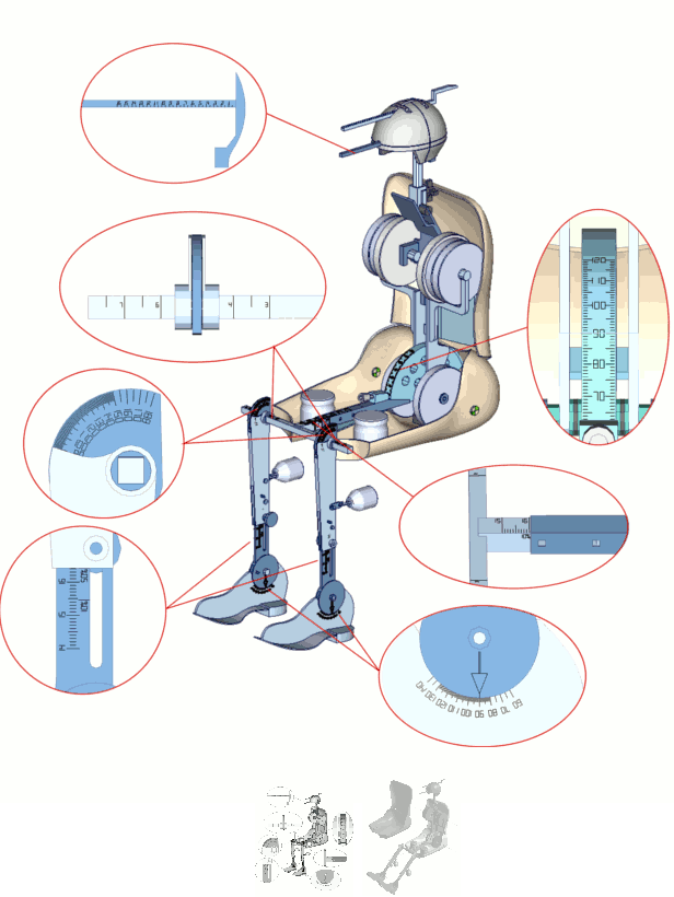 Hybrid Ⅲ Dummy Models | 日本CDH株式会社